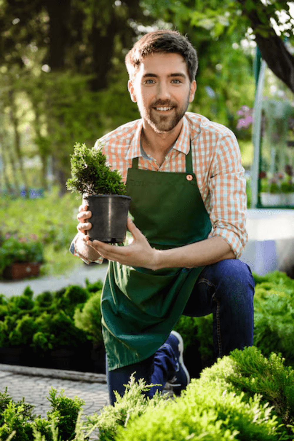 Best Landscapers Canberra | Local Landscapers in Canberra